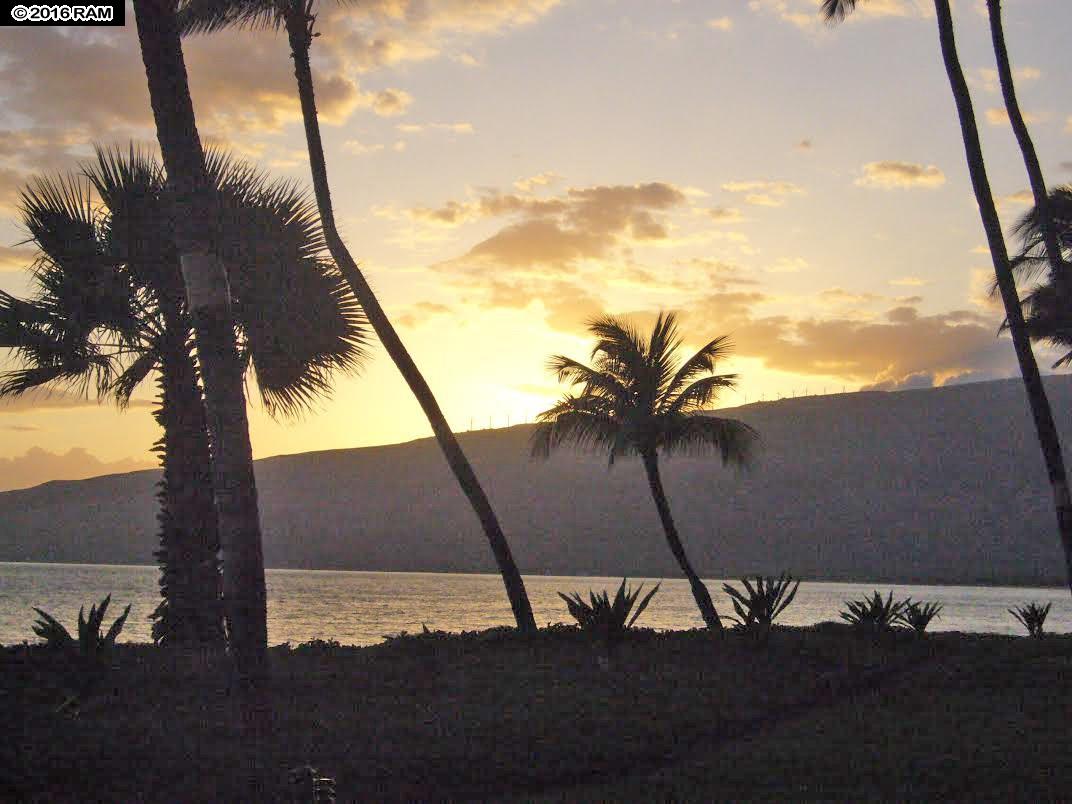 Kihei Condo : Sugar Beach Resort Unit 209, Maui, Hawaii