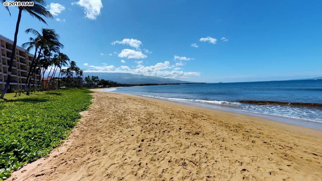 Kihei Condo : Sugar Beach Resort Unit 111, Maui, Hawaii