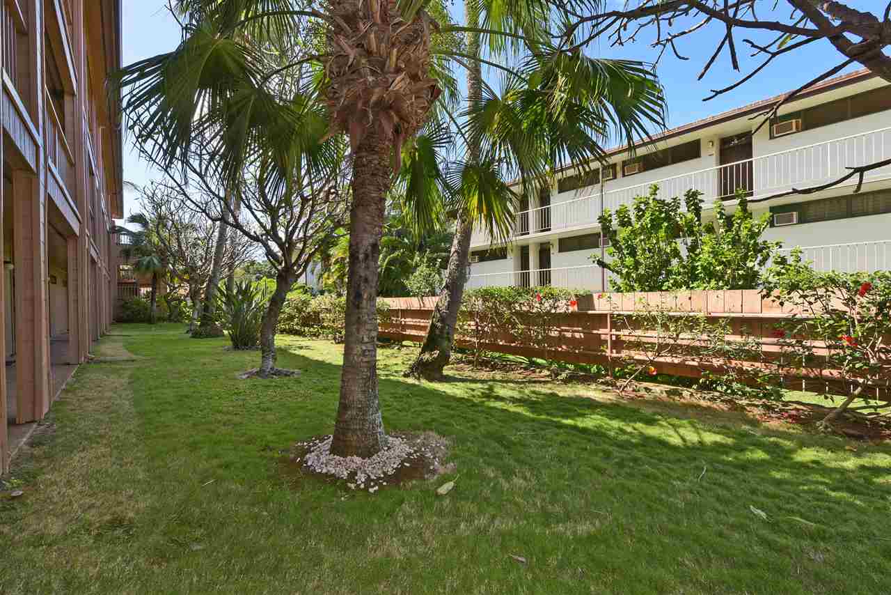Napili/Kahana/Honokowai Condo : Maui Lani Terraces Unit A 101, Maui, Hawaii