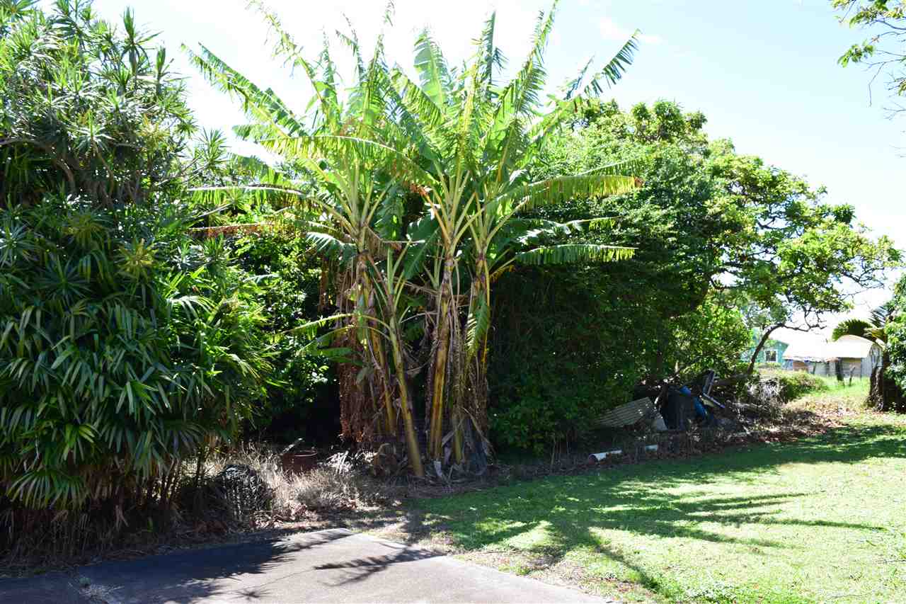 Makawao/Olinda/Haliimaile Land Sold: 71 PAMAKANI Pl, Maui, Hawaii | MLS ...