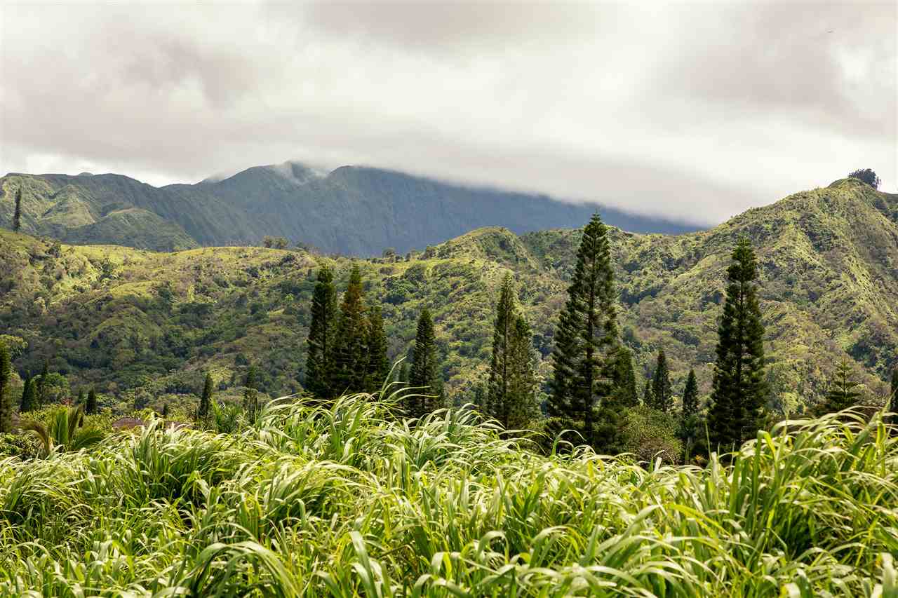 Wailuku Land Sold: 145 Kaukini Loop, Maui, Hawaii | MLS: 384042