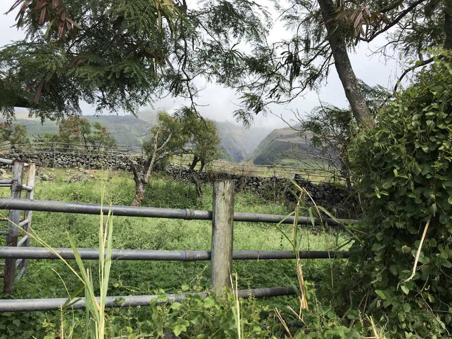 Kaupo Land Sold: 34701 Piilani Hwy, Maui, Hawaii | MLS: 386431