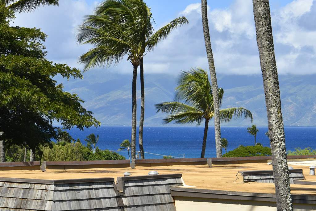 Napili/Kahana/Honokowai Condo : Napili Ridge Unit 11 J, Maui, Hawaii
