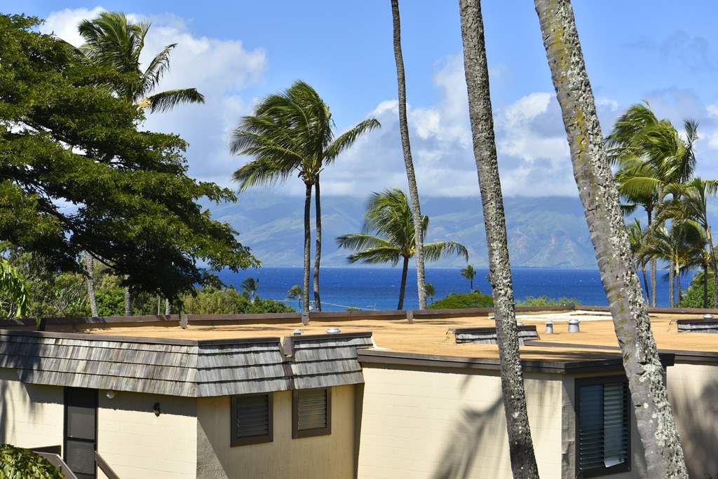 Napili/Kahana/Honokowai Condo : Napili Ridge Unit 11 J, Maui, Hawaii