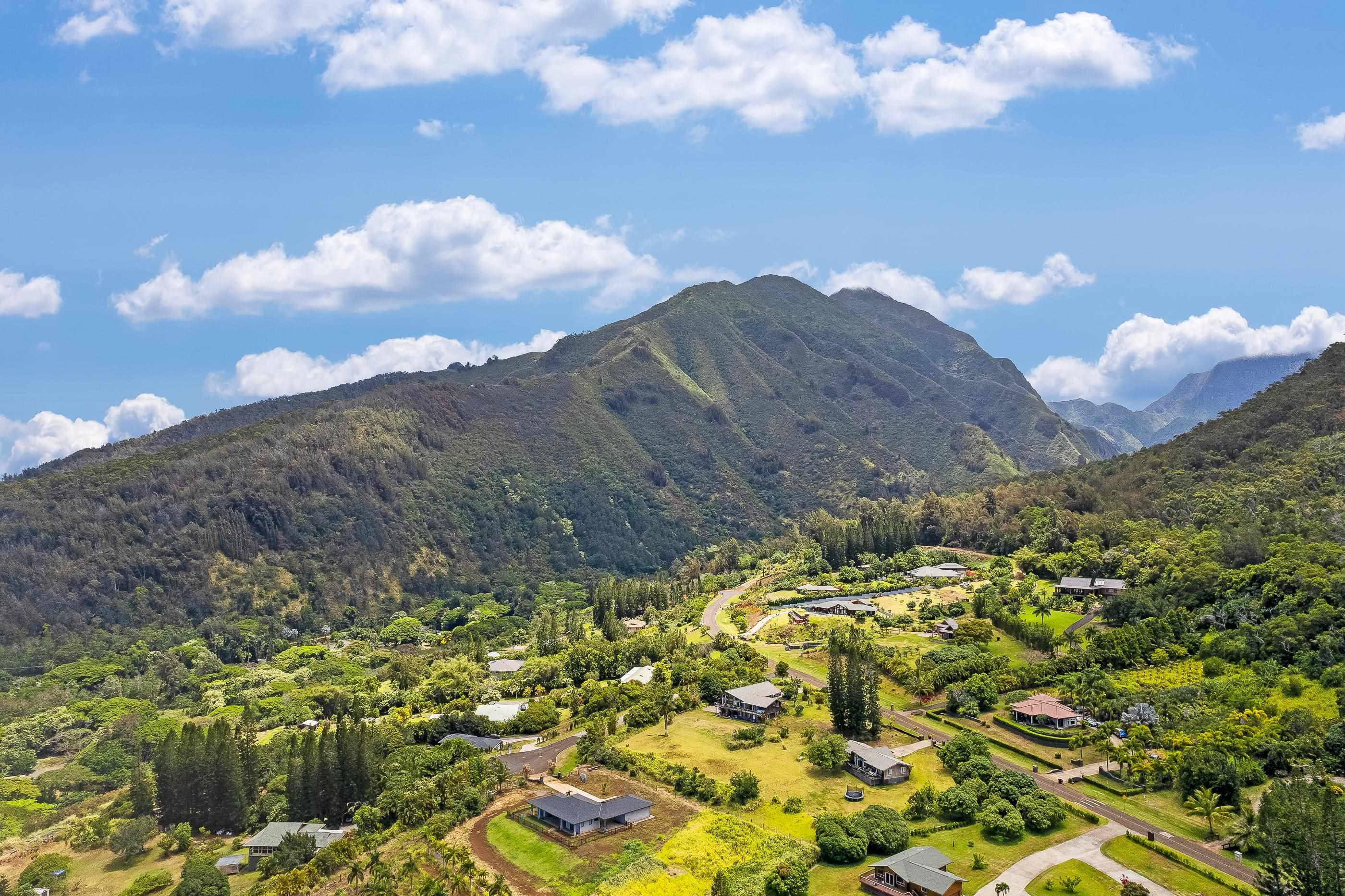 Wailuku Home For Sale: 81 Maika St, Maui, Hawaii