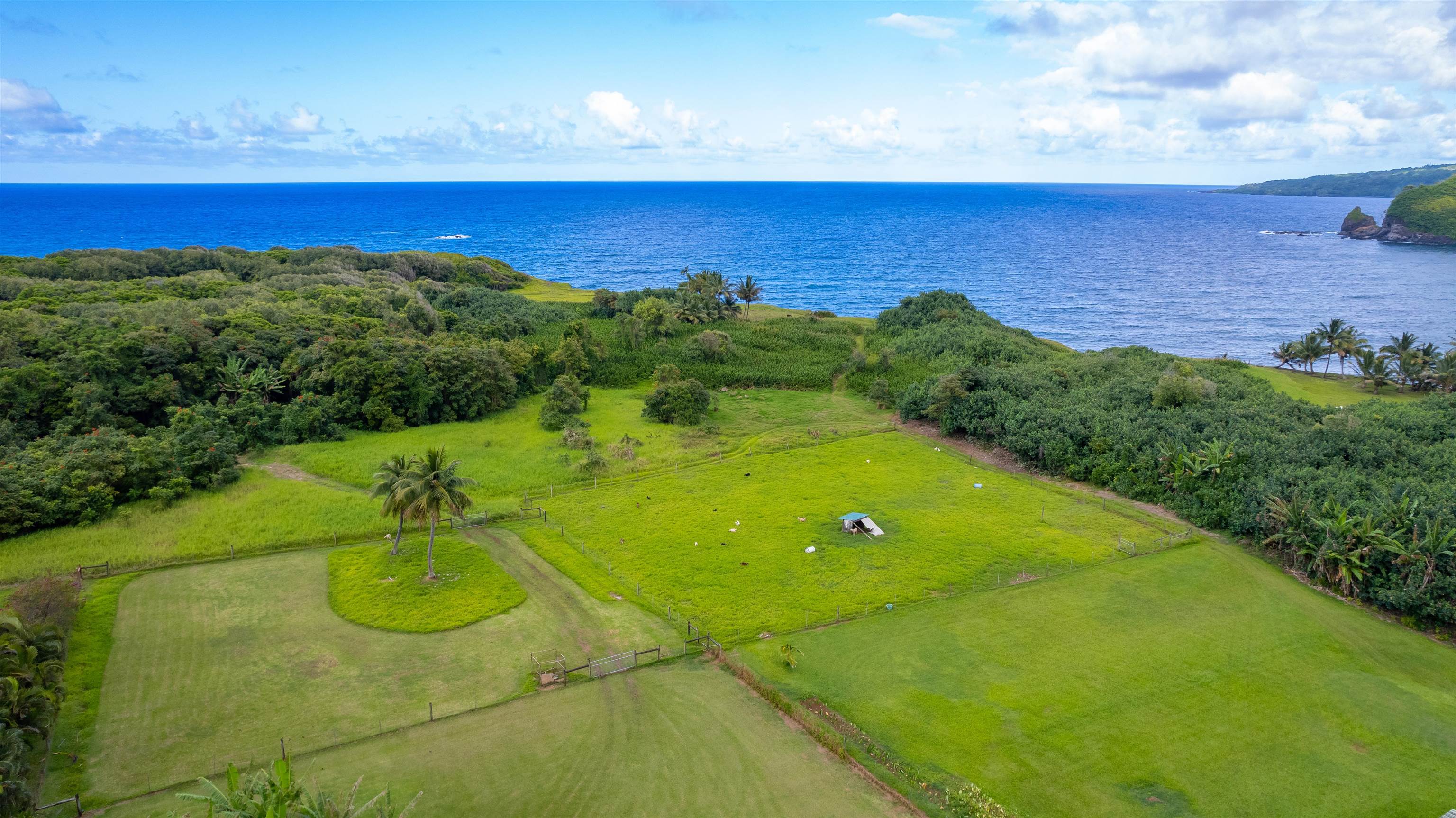 Homes For Sale in Haiku | Haiku Real Estate